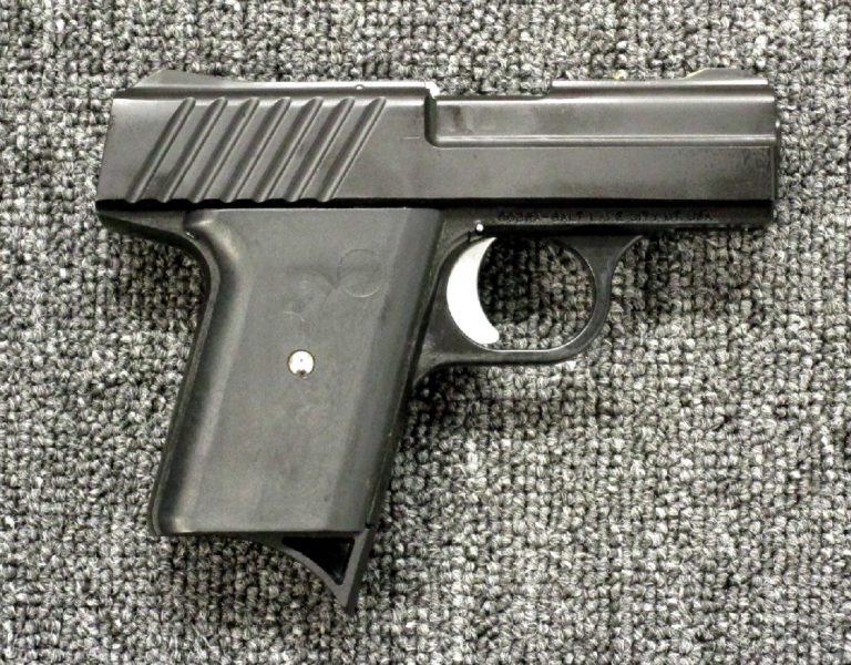 Preowned Cobra Denali, .380 ACP, 2.8″ Barrel, 6 Rounds, 1 Magazine ...
